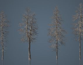 Dry tree 3D Models | CGTrader
