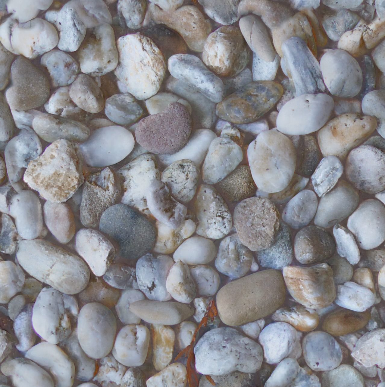 Stone Pebble Seamless Texture | CGTrader