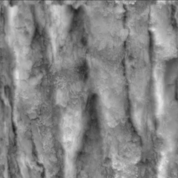 Texture Tree Bark Seamless 02 VR / AR / low-poly | CGTrader