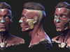 Ecorche Facial anatomy 3D model | CGTrader