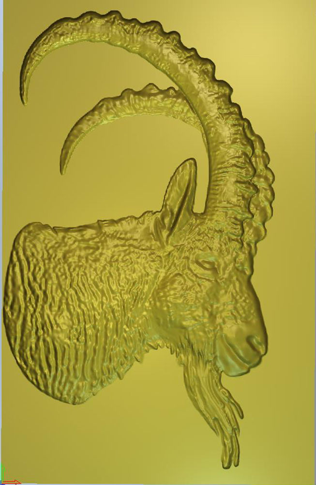 Mountain goat argali 3D model 3D printable | CGTrader