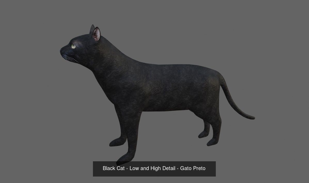 Animals - Zoo Pack 3D Model Collection | CGTrader