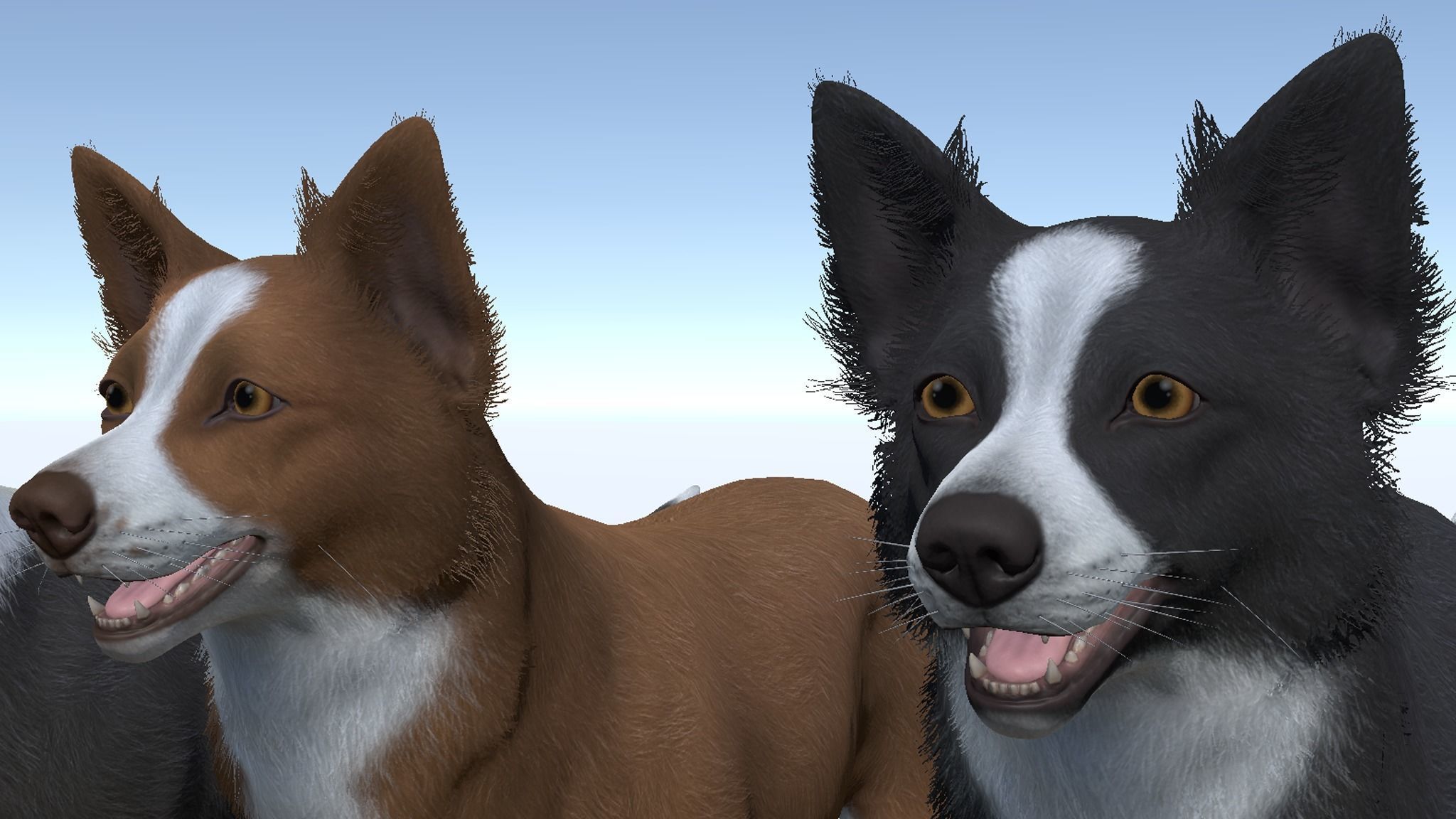 3D model Dog - Border Collie VR / AR / low-poly rigged animated | CGTrader