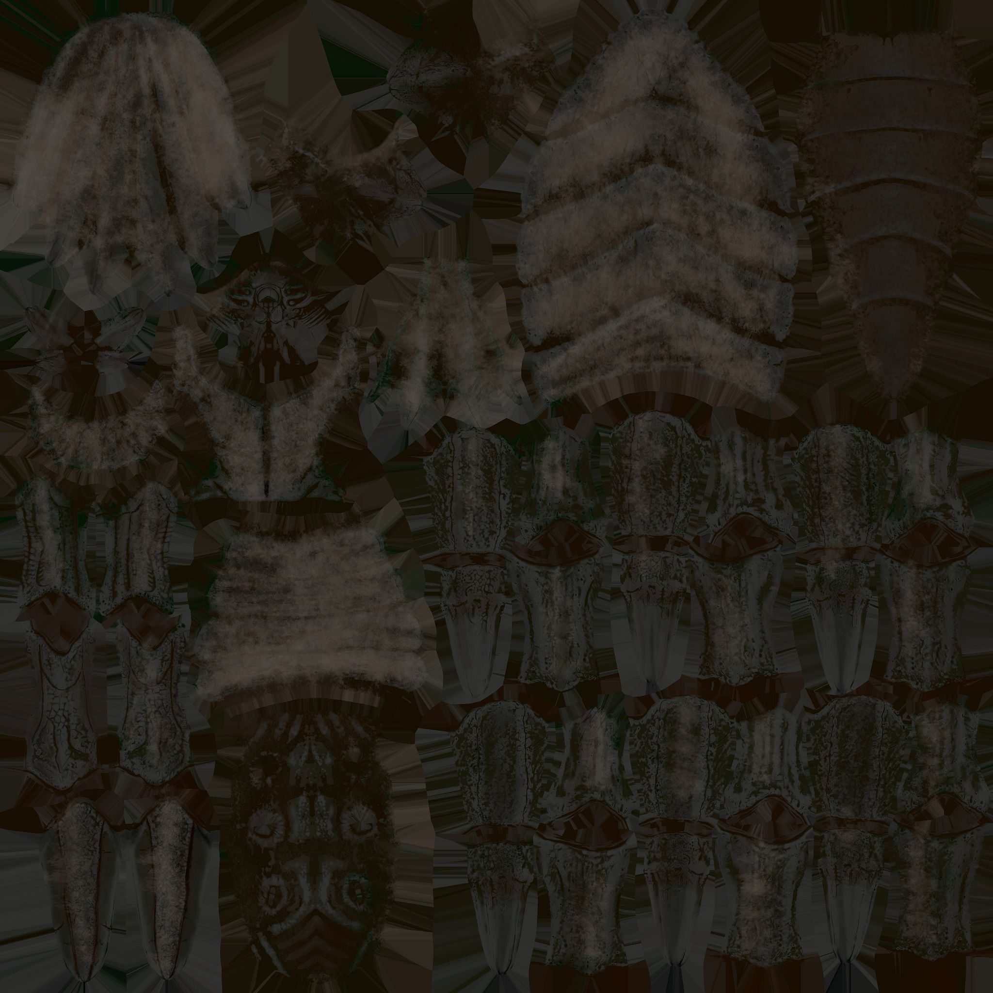 3D model Slicer beetle VR / AR / low-poly | CGTrader