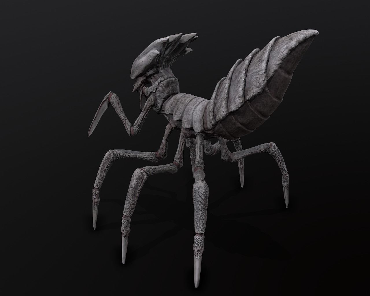 3D model Slicer beetle VR / AR / low-poly | CGTrader