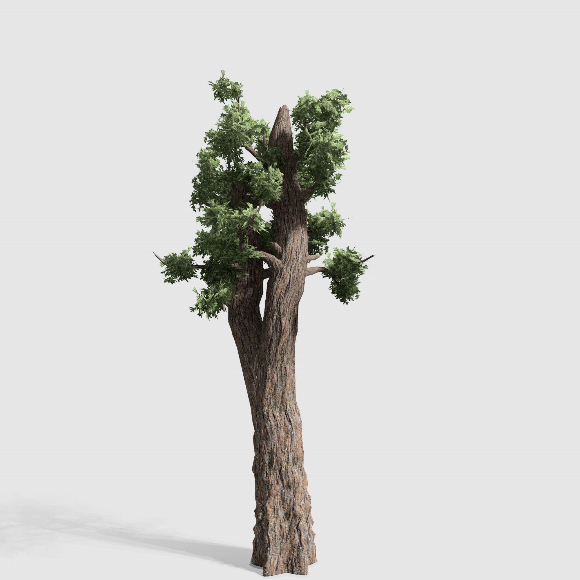 3D model Giant Red wood tree collection 9 trees Models in the scene VR ...