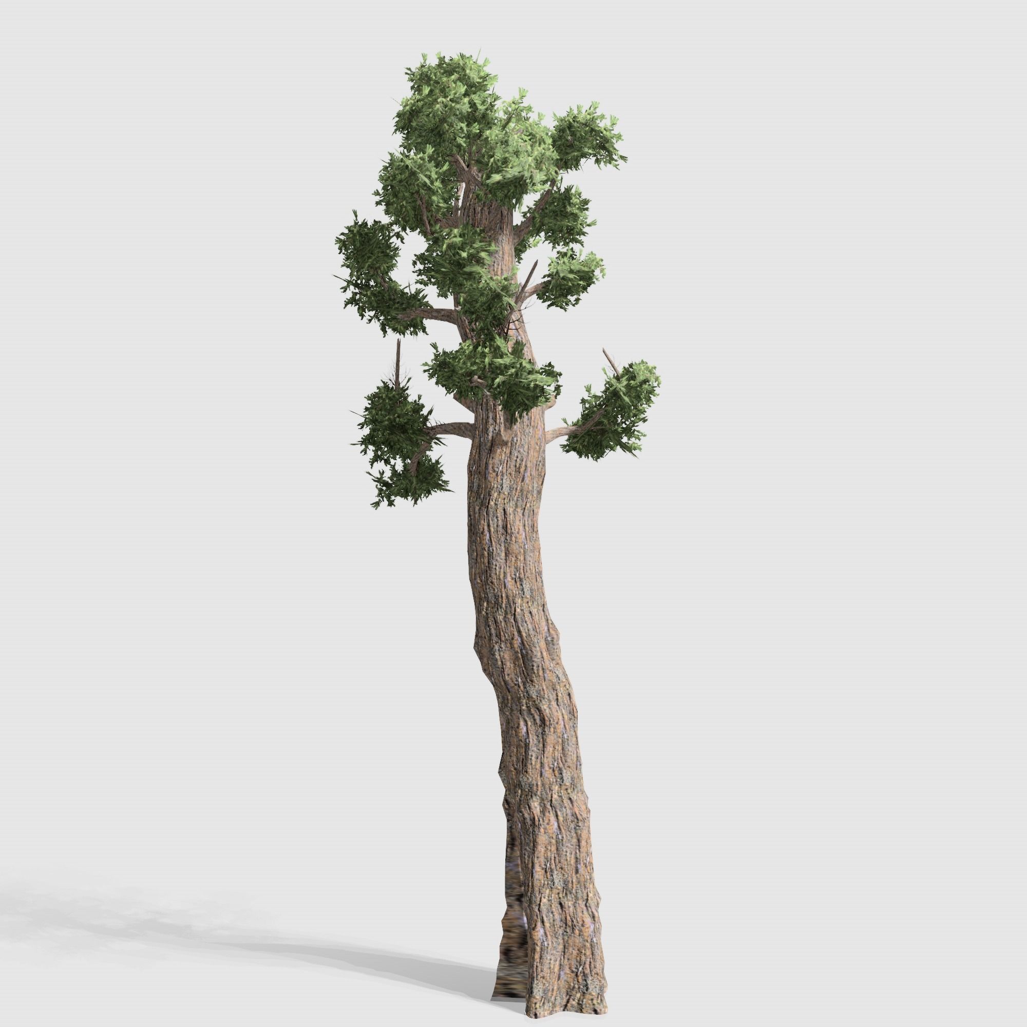3D model Giant Red wood tree collection 9 trees Models in the scene VR ...