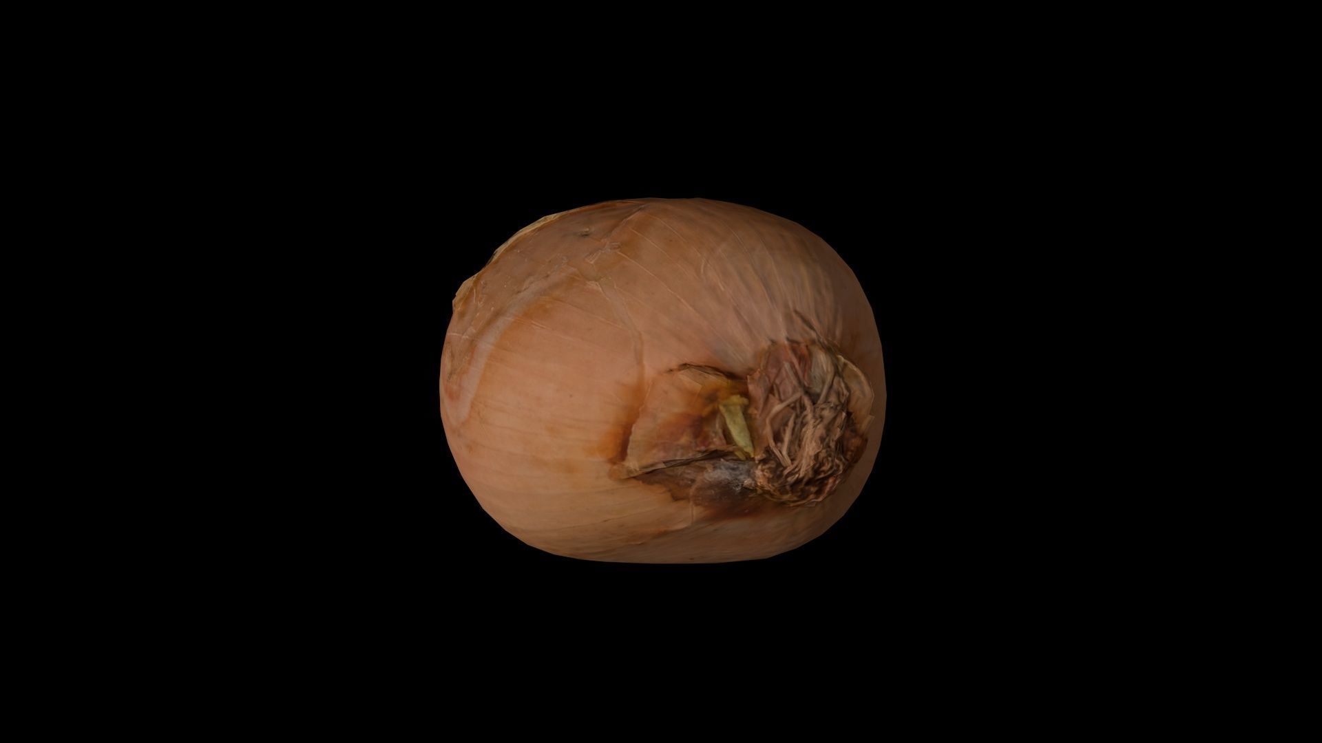 3D model ONION - realistic VR / AR / low-poly | CGTrader