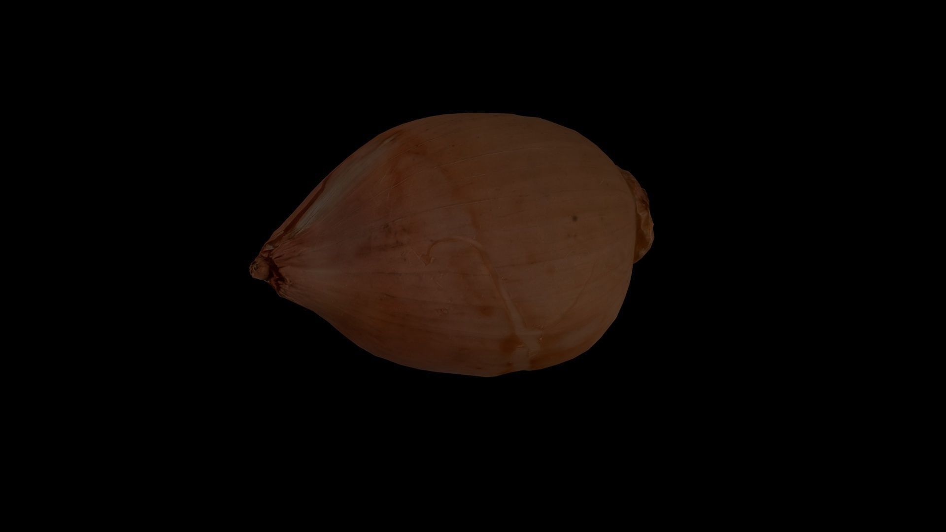 3D model ONION - realistic VR / AR / low-poly | CGTrader