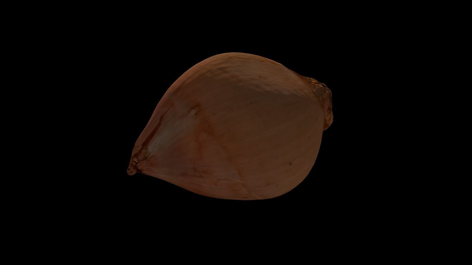 3D model ONION - realistic VR / AR / low-poly | CGTrader