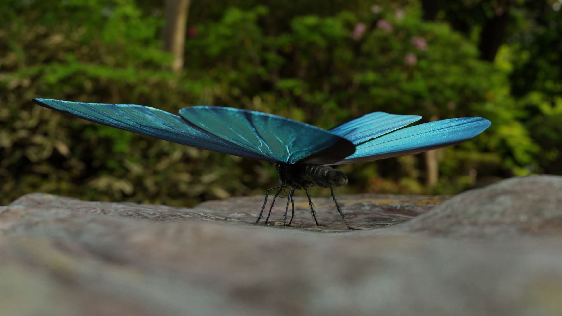 3D Model Collection Butterfly Realistic flying in air VR / AR / low ...