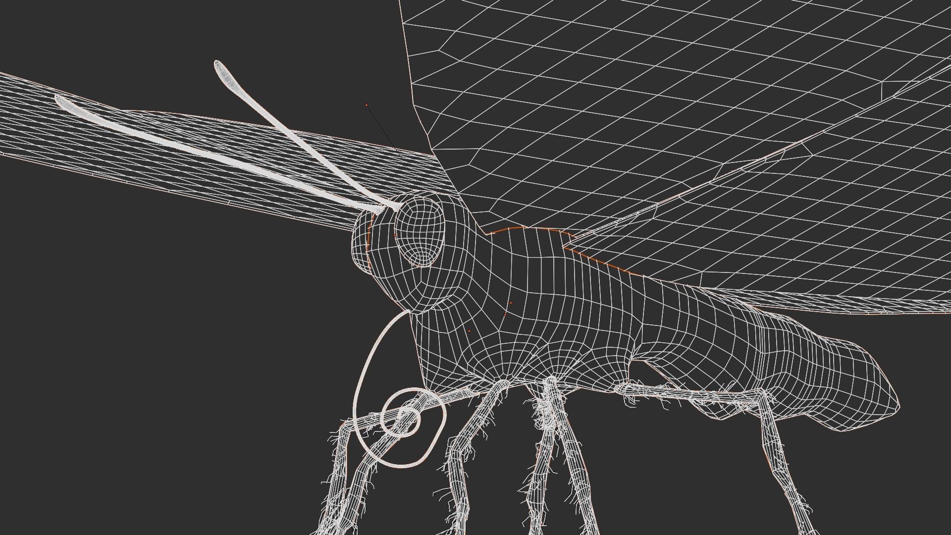 Butterfly Realistic 3D Model Collection | CGTrader