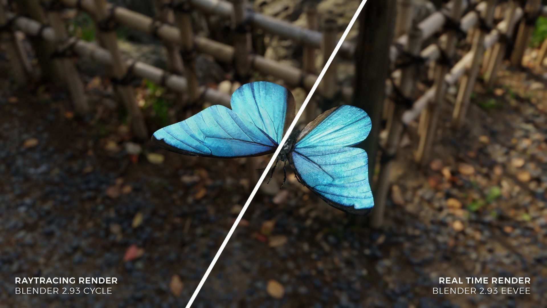 3D Model Collection Butterfly Realistic flying in air VR / AR / low ...