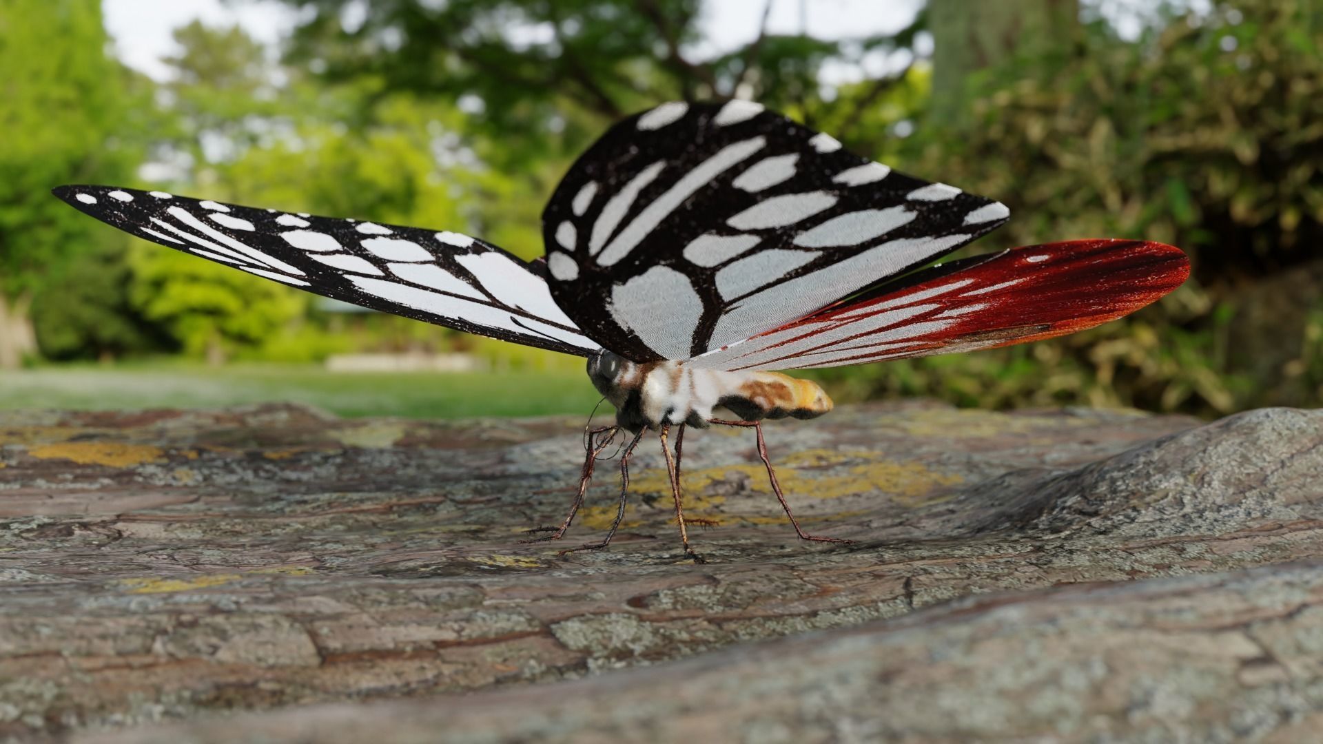 Butterfly Realistic flying in air 3D Model Collection | CGTrader