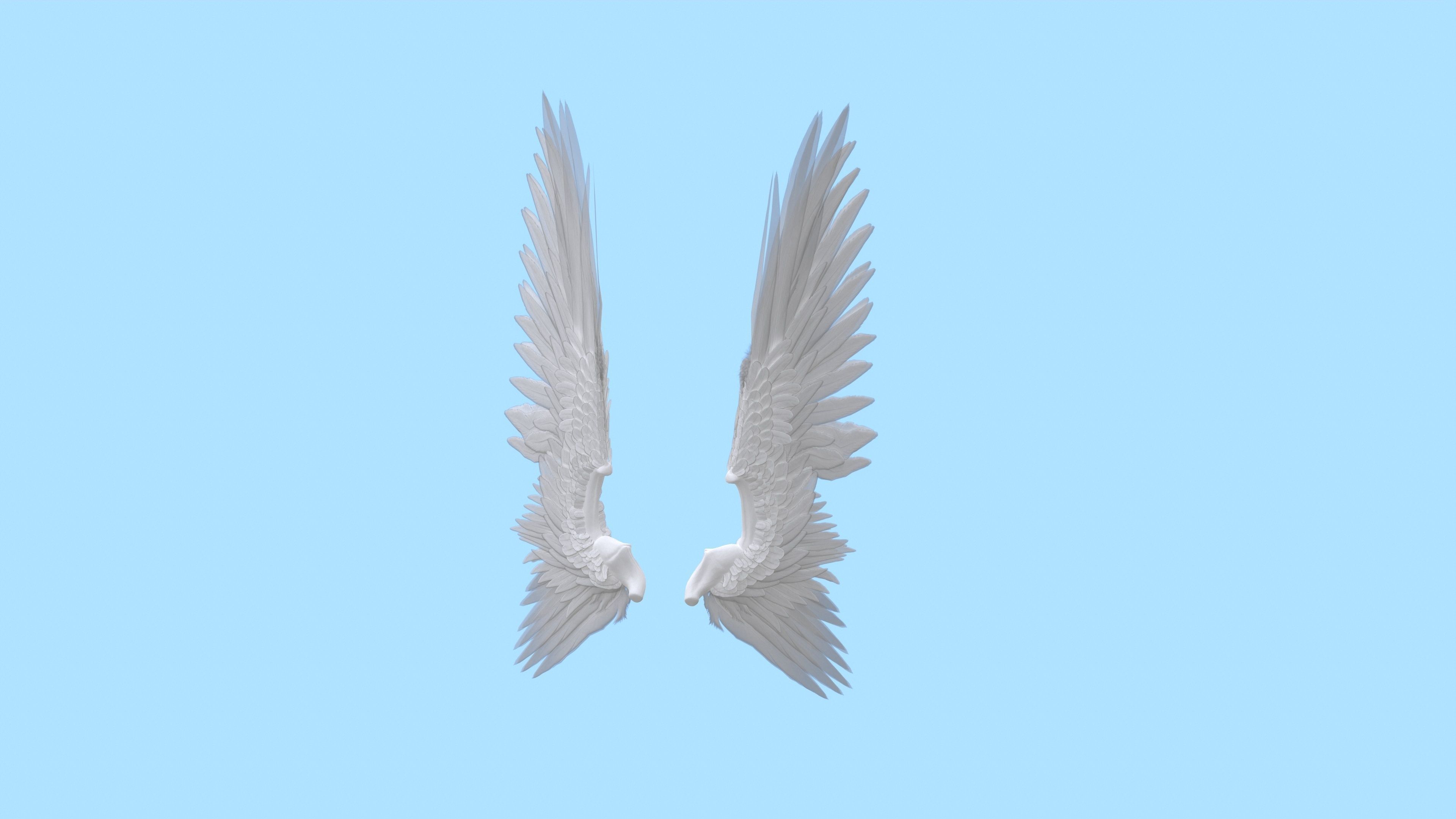 3D model Wings VR / AR / low-poly rigged animated | CGTrader