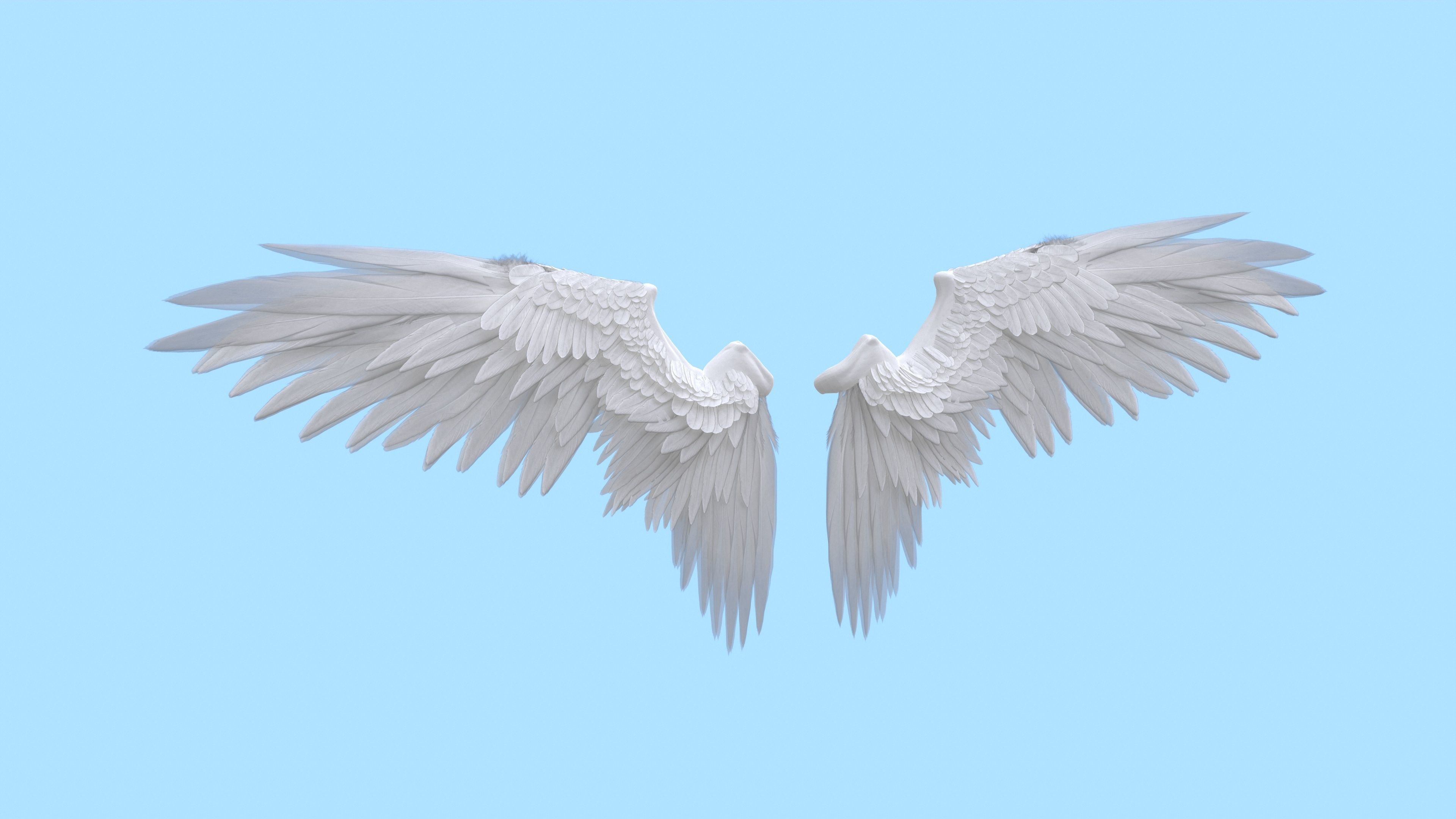 3D model Wings VR / AR / low-poly rigged animated | CGTrader