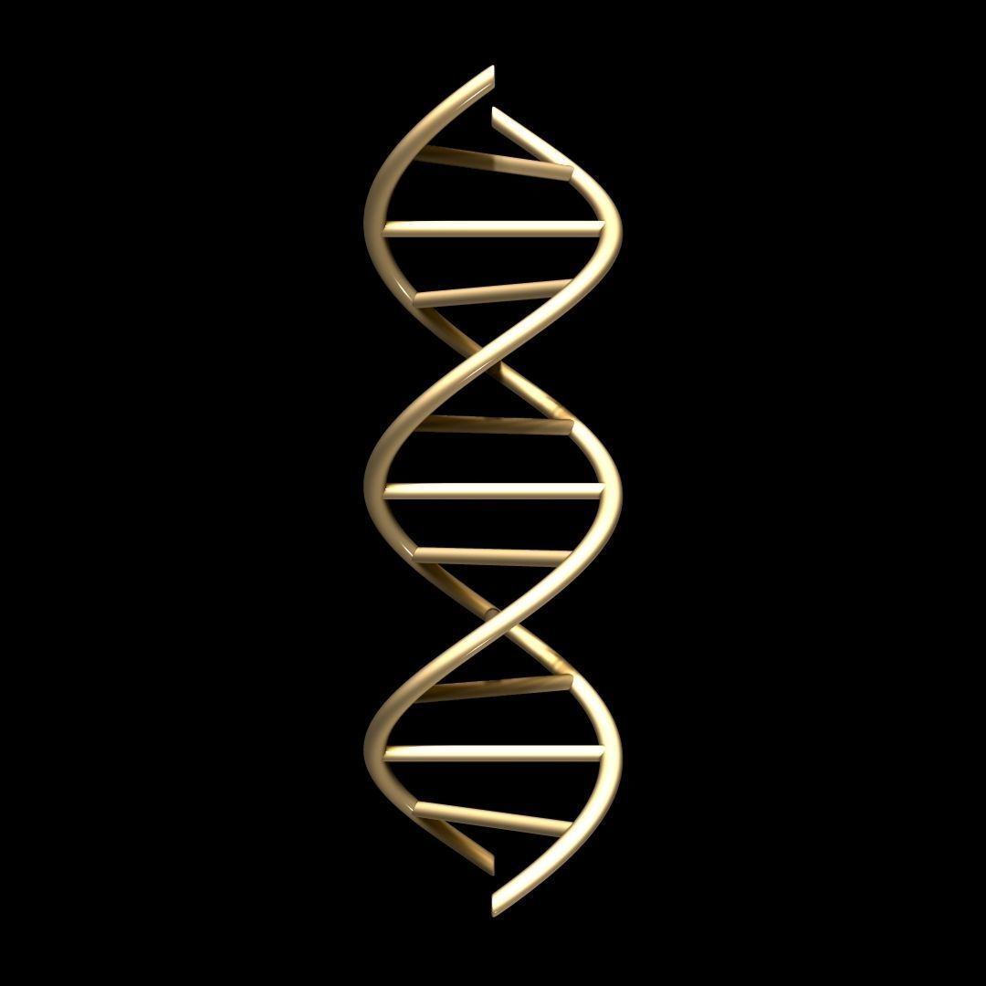 DNA Chain 3D model | CGTrader