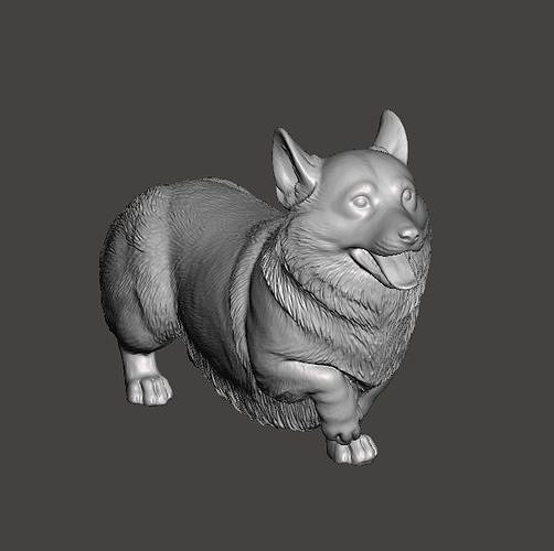 Pembroke Welsh Corgi 3D model 3D printable | CGTrader
