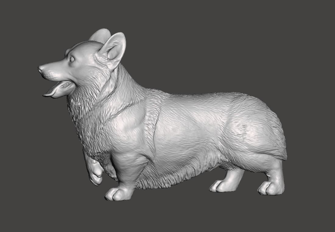 Pembroke Welsh Corgi 3D model 3D printable | CGTrader