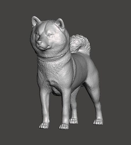Shiba Inu Dog 3D model 3D printable | CGTrader