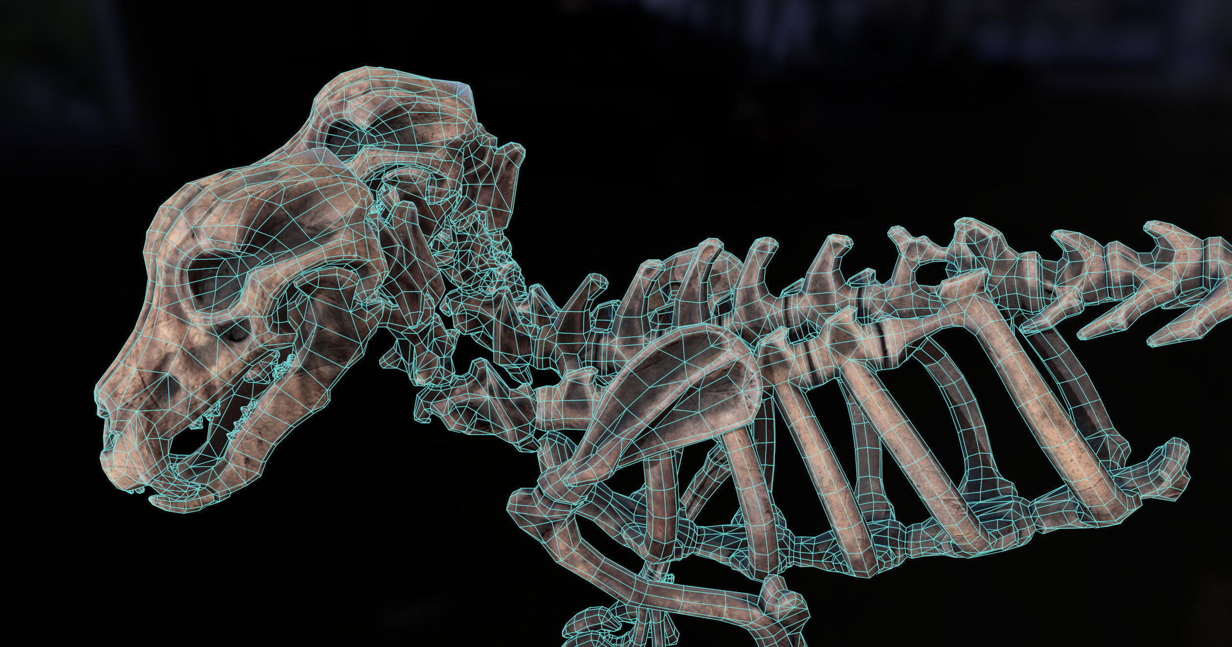 3D model Cerberus skeleton VR / AR / low-poly | CGTrader