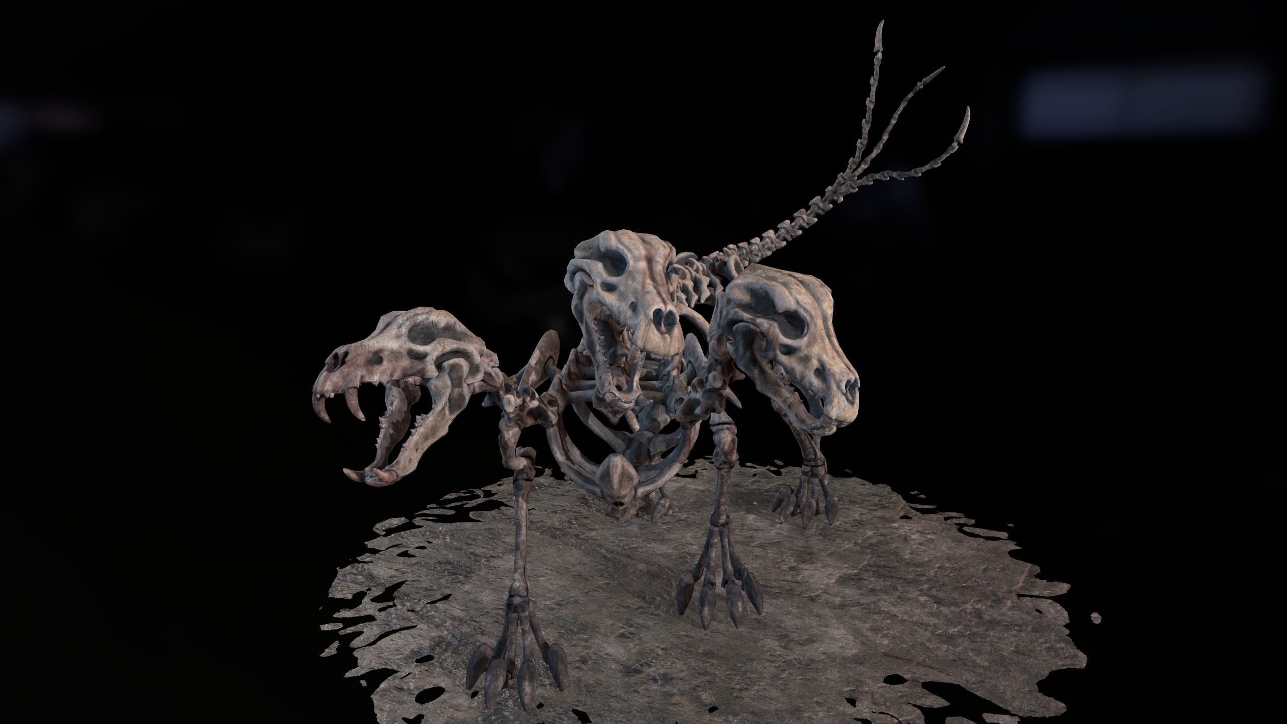 3D model Cerberus skeleton VR / AR / low-poly | CGTrader