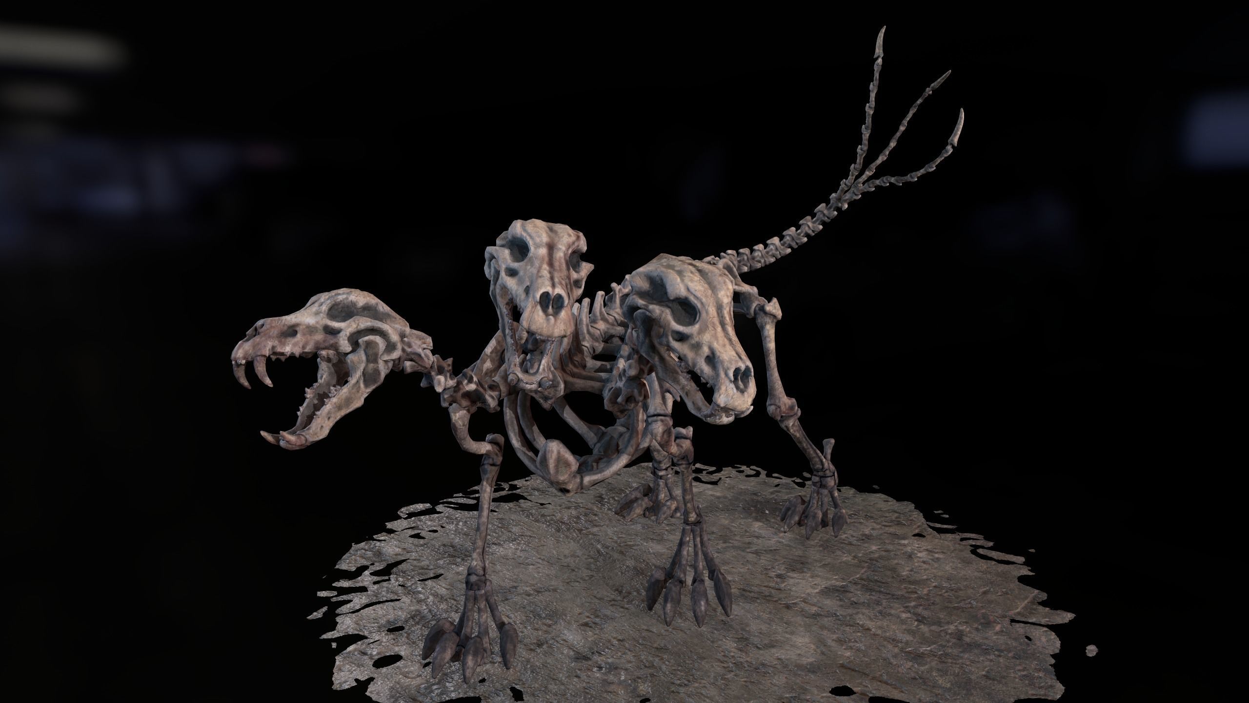3D model Cerberus skeleton VR / AR / low-poly | CGTrader