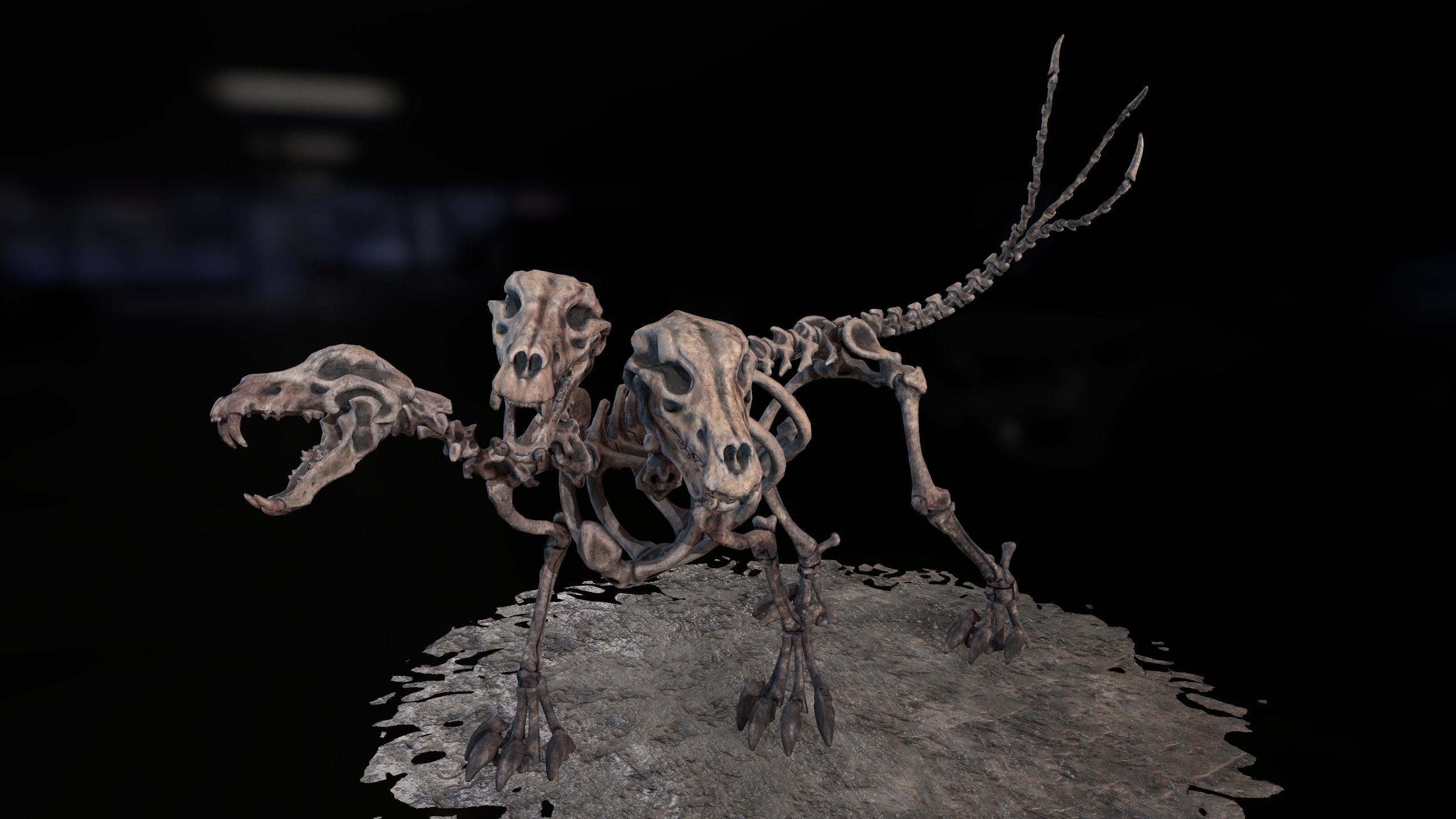 3D model Cerberus skeleton VR / AR / low-poly | CGTrader
