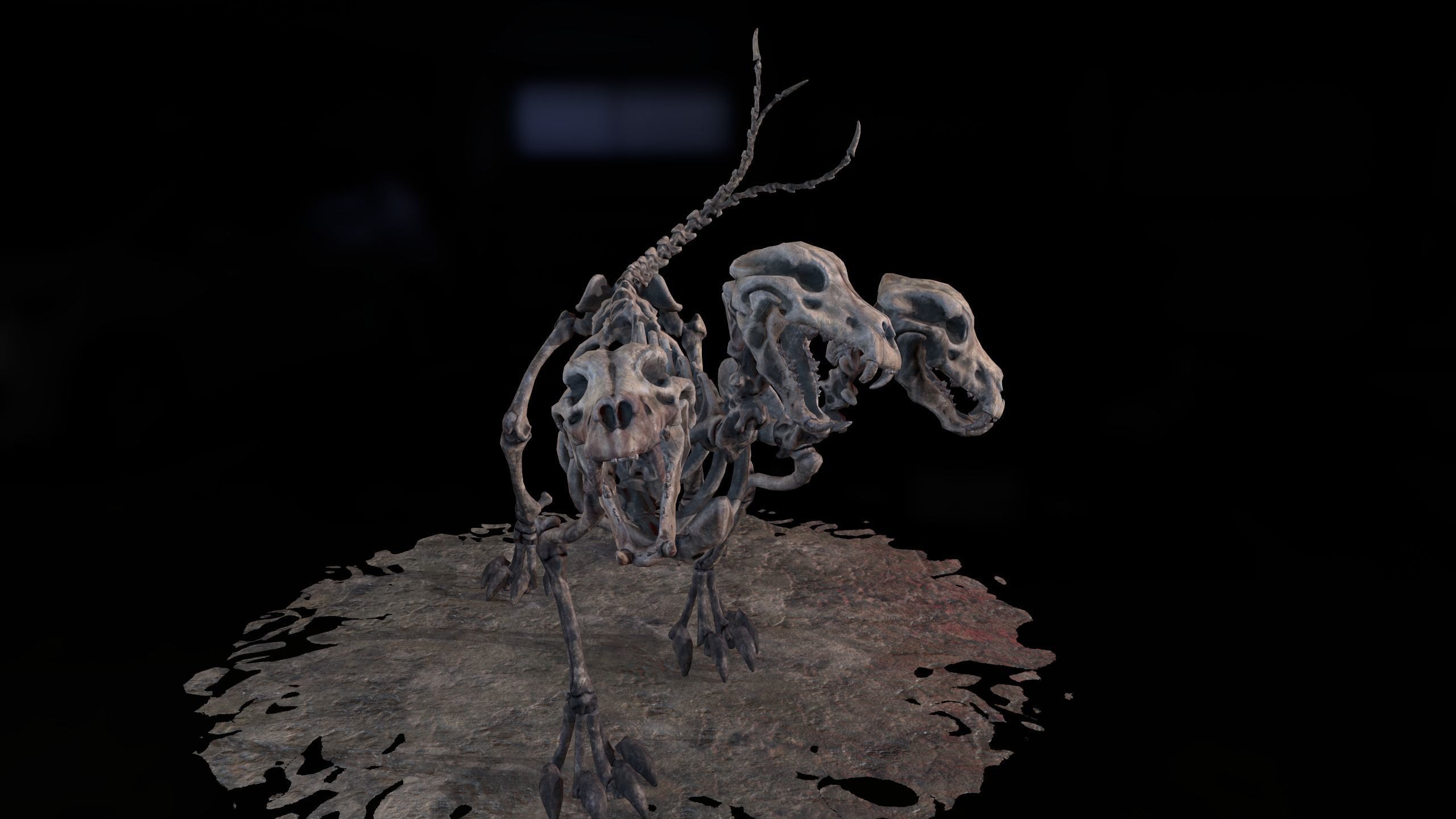 3D model Cerberus skeleton VR / AR / low-poly | CGTrader