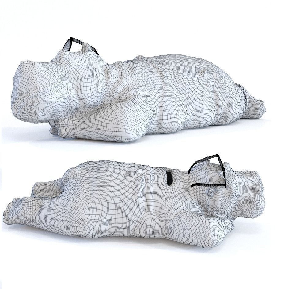 Money Box Holiday Hippo 3D model | CGTrader