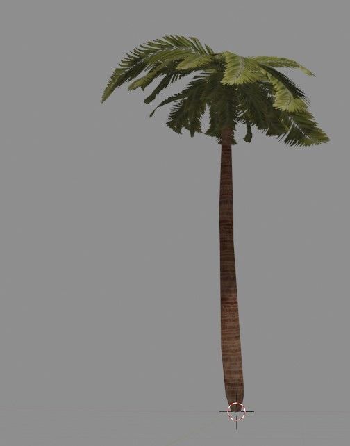 3D model Low Poly Palm Tree VR / AR / low-poly | CGTrader