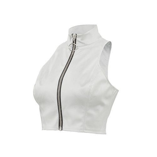 Metallic Top 3D model | CGTrader