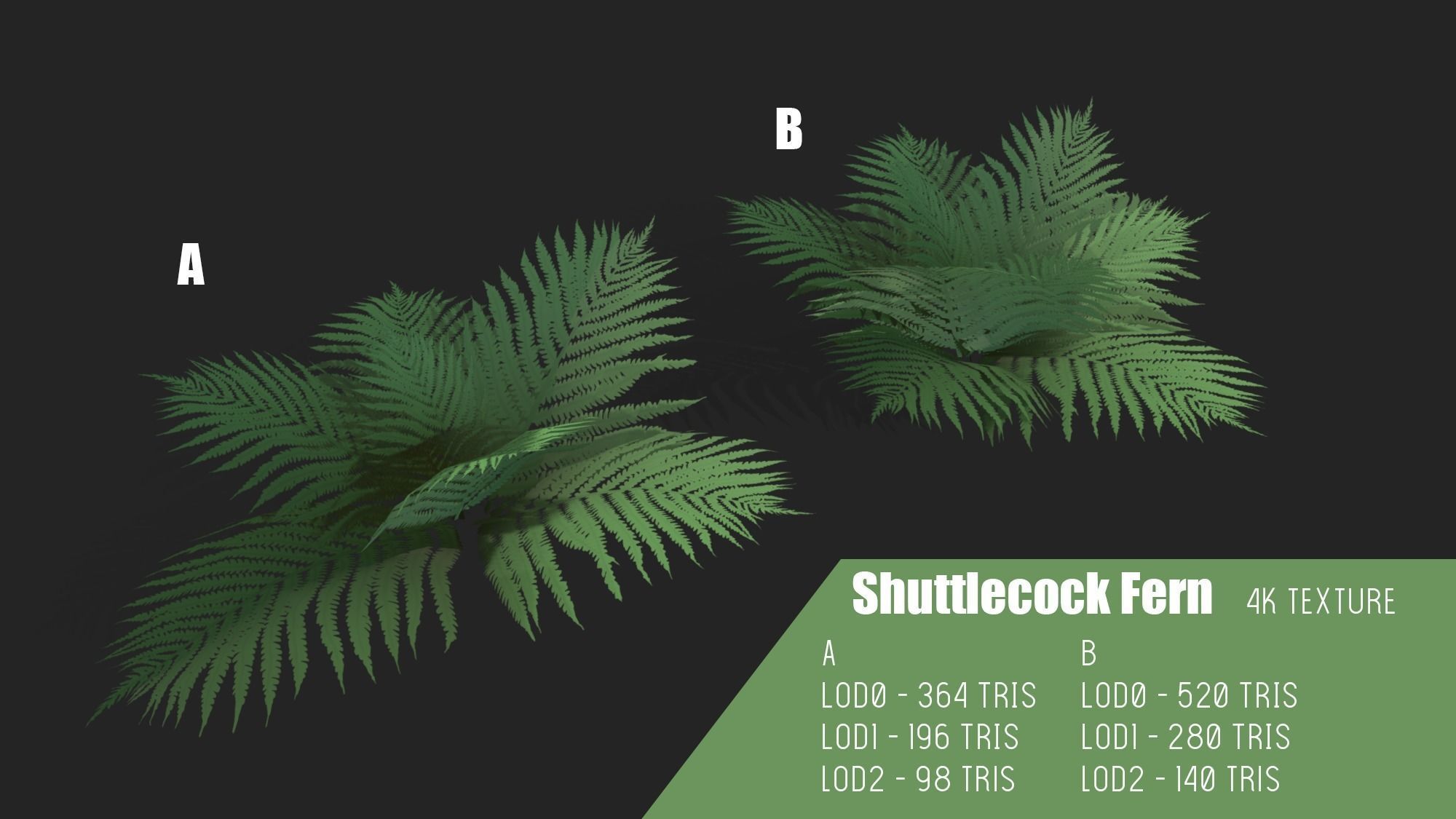 Stylized Fern Plant Pack 1 3D model | CGTrader