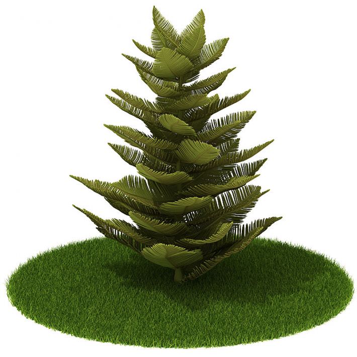 Plant Tree Leaves 3D model | CGTrader