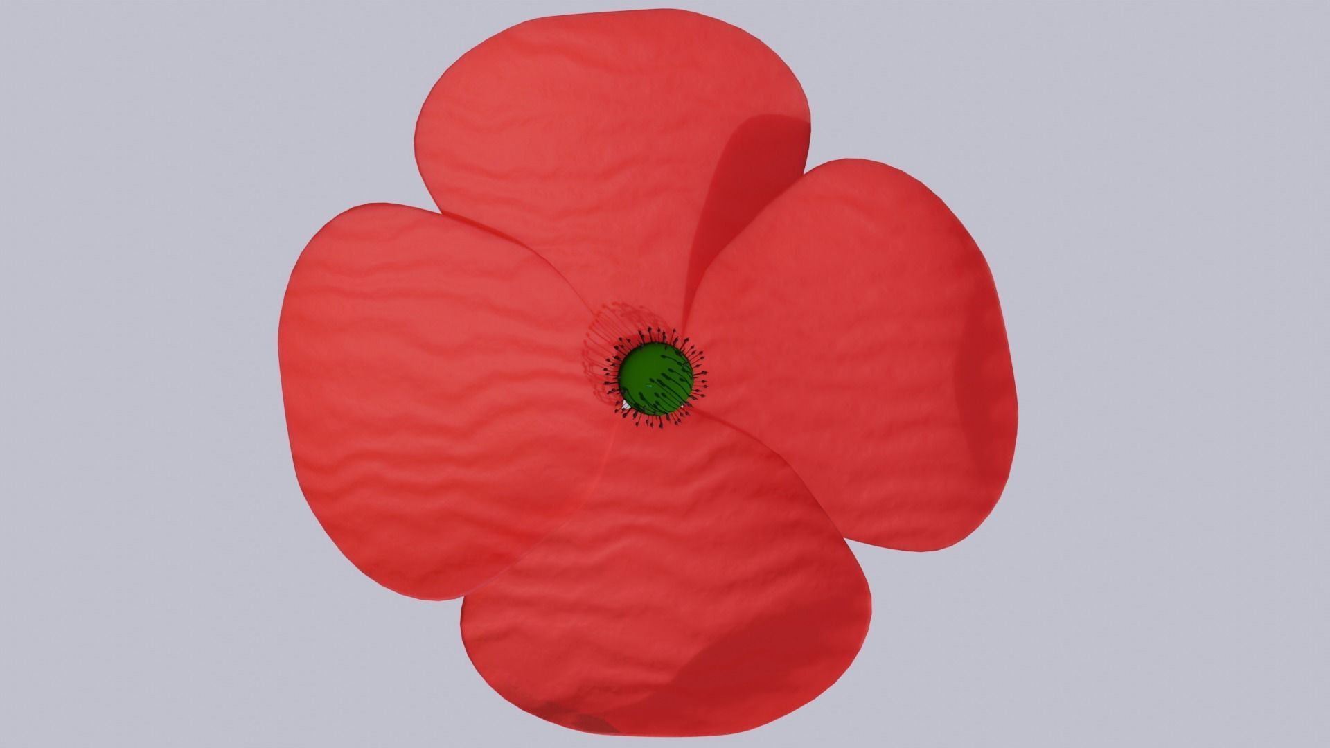 Beautiful Poppy Flower 3D model | CGTrader