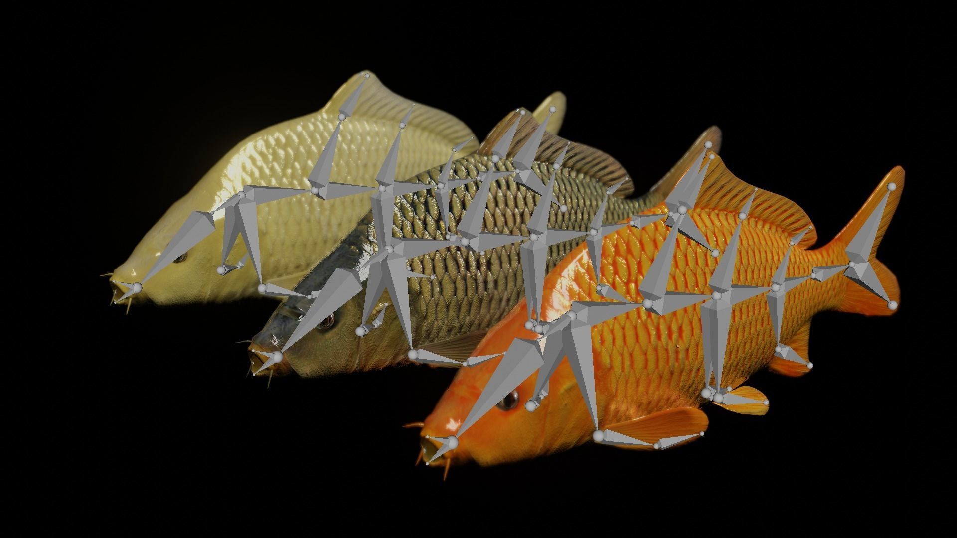 3D model Carp fish VR / AR / low-poly | CGTrader