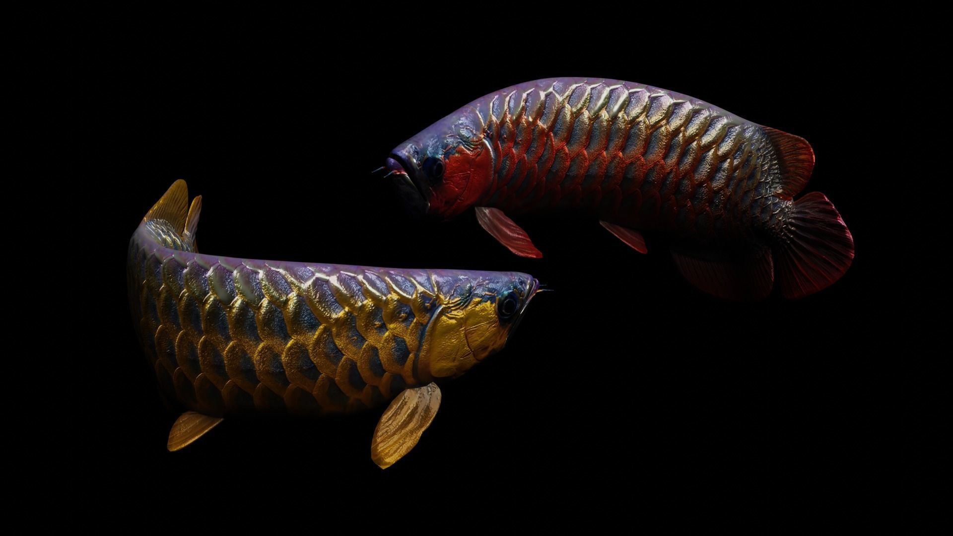 Realistic freshwater fish 3D Model Collection | CGTrader