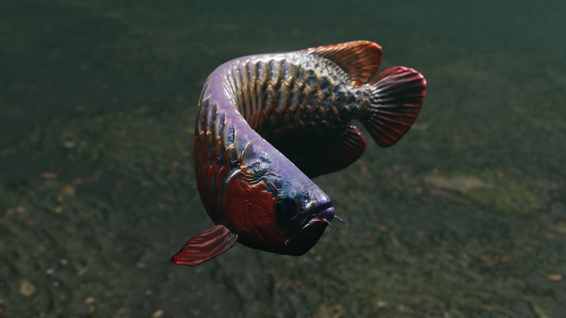 3D Model Collection Realistic freshwater fish VR / AR / low-poly | CGTrader