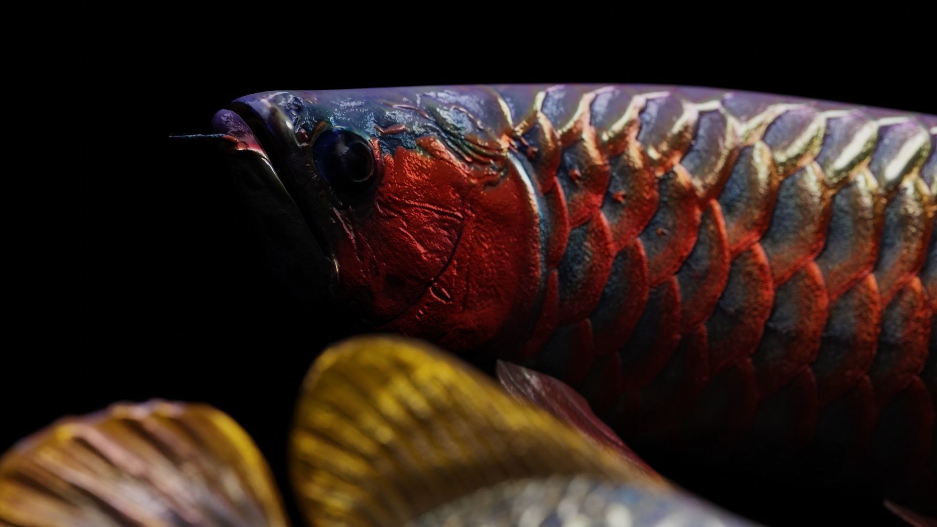 Realistic freshwater fish 3D Model Collection | CGTrader