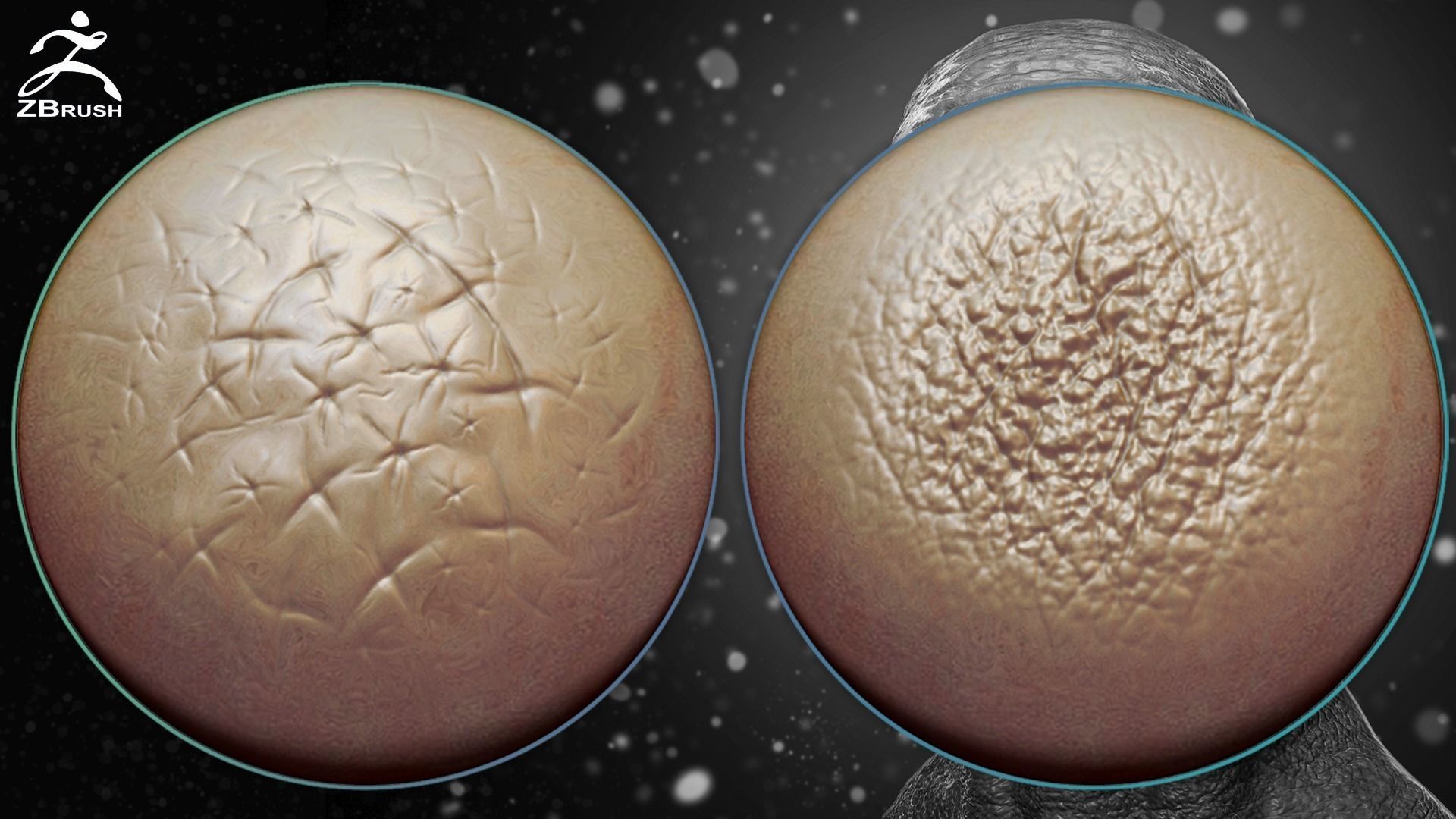 Skin Alphas for ZBrush 3D model | CGTrader