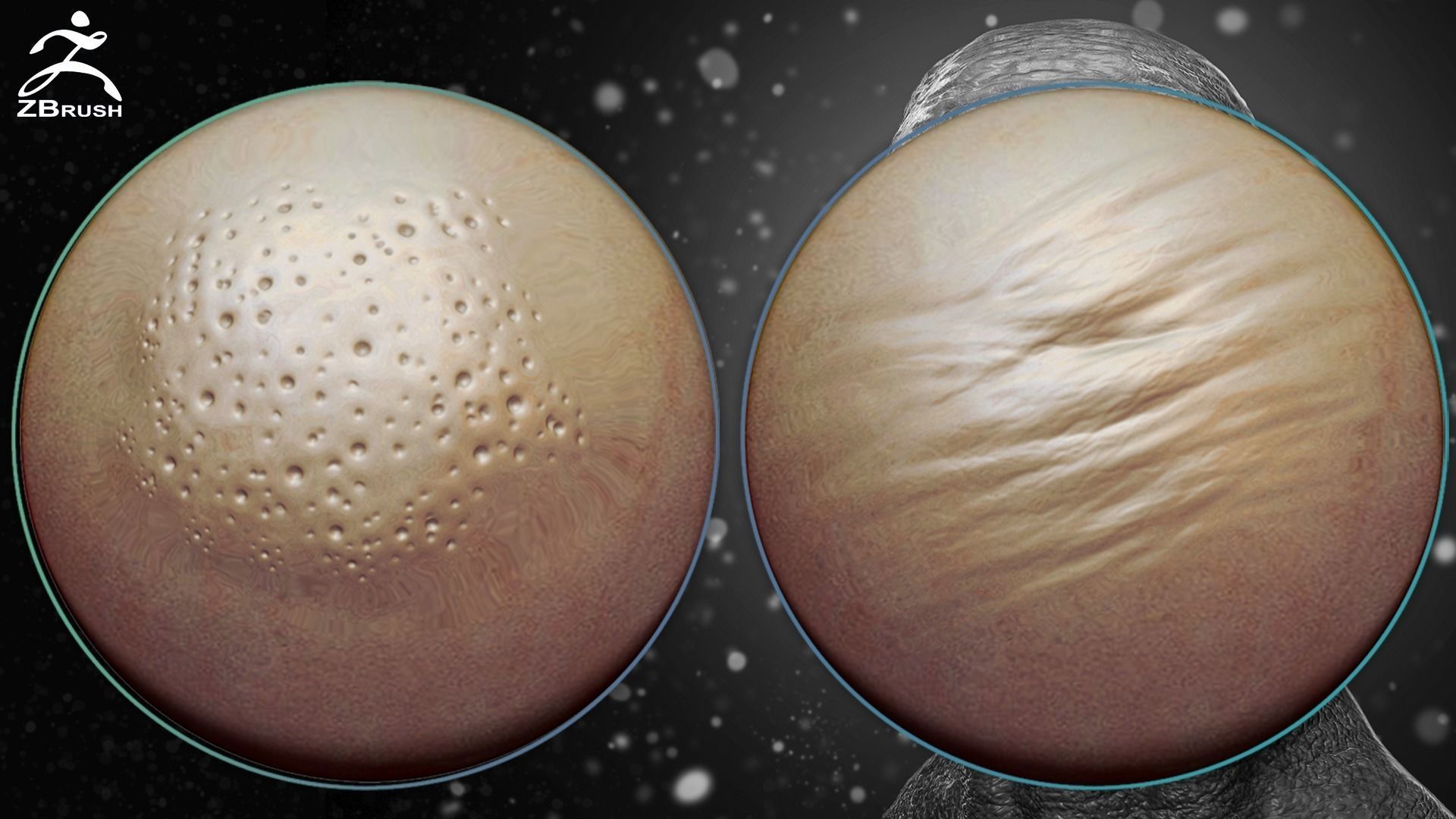 Skin Alphas for ZBrush 3D model | CGTrader