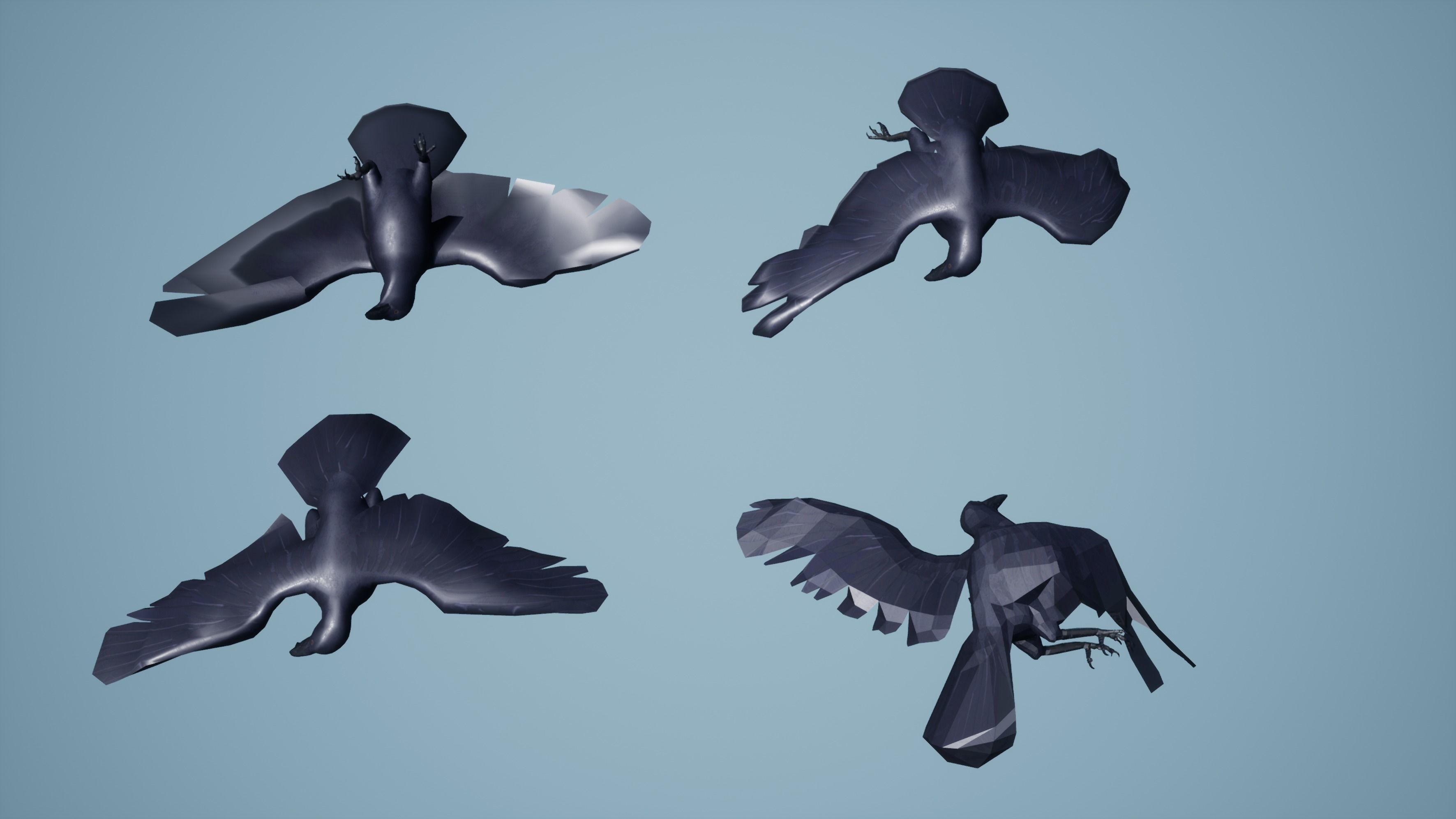3D model Dead Crow VR / AR / low-poly | CGTrader