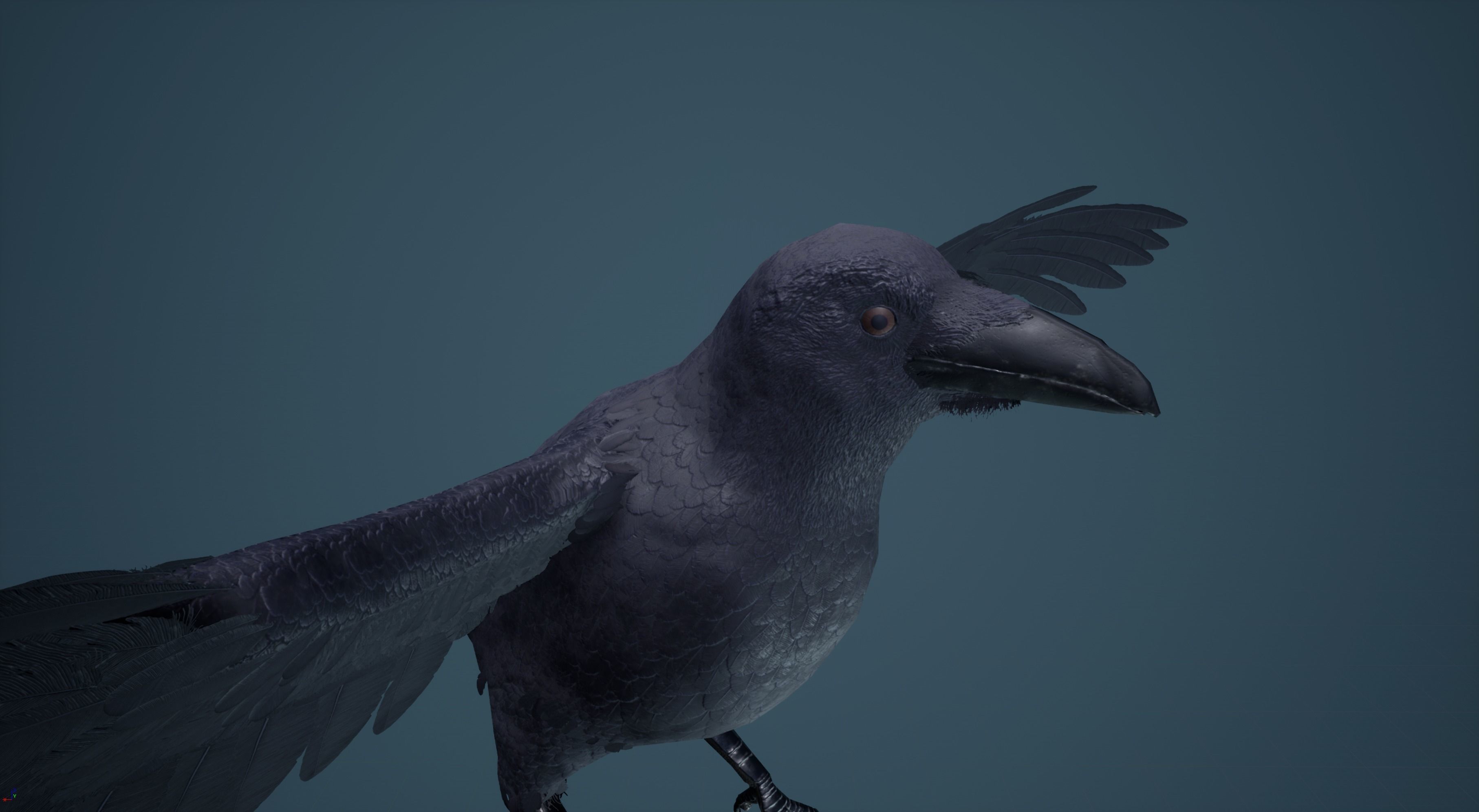 3D model Dead Crow VR / AR / low-poly | CGTrader