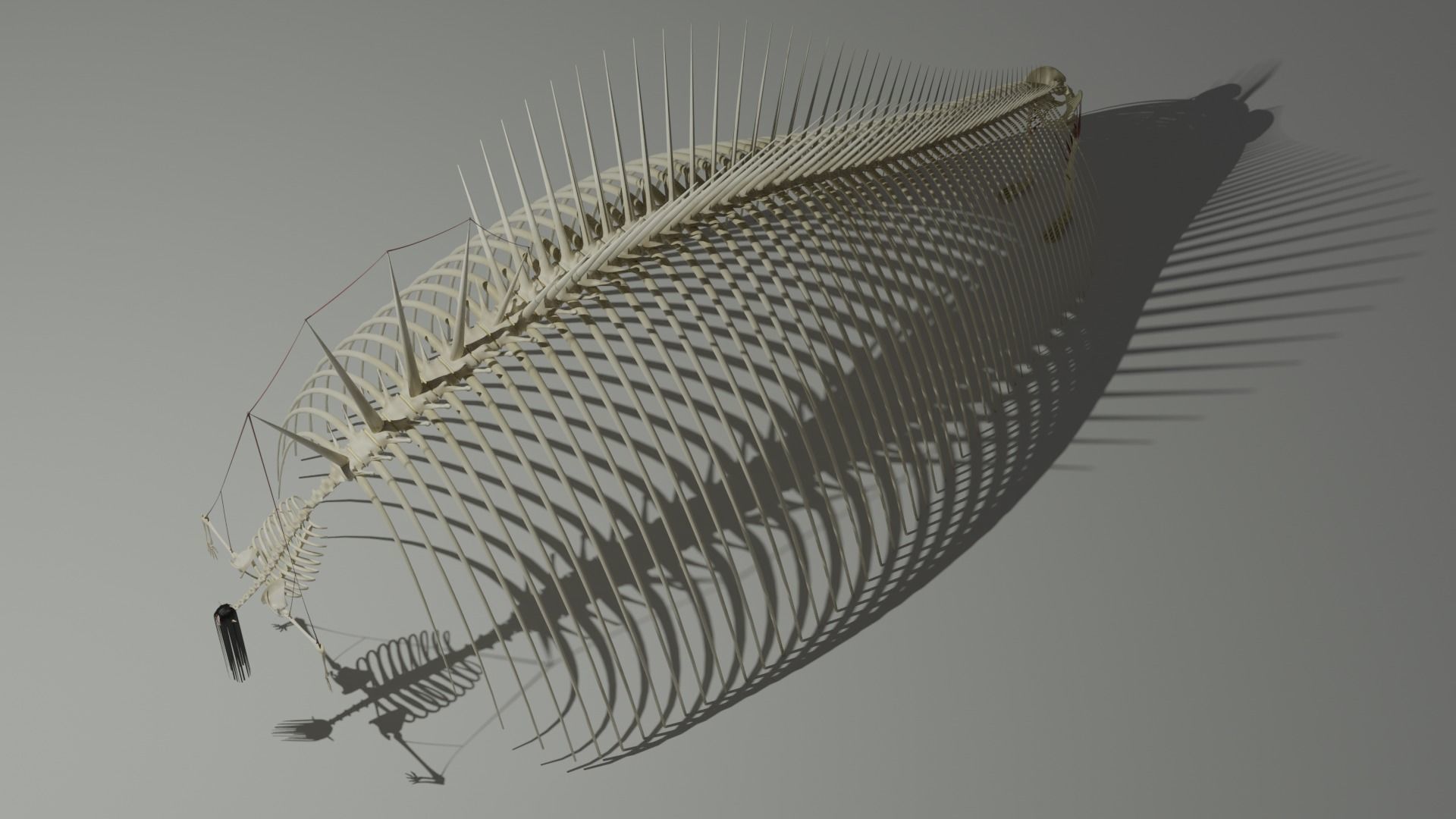 Eren Founding Titan 3D Model - Attack on Titan 3D model | CGTrader