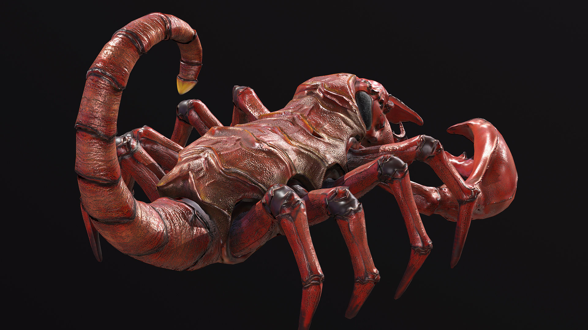 3D model Low-poly model Scorpion VR / AR / low-poly | CGTrader