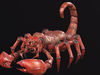 3D model Low-poly model Scorpion VR / AR / low-poly | CGTrader
