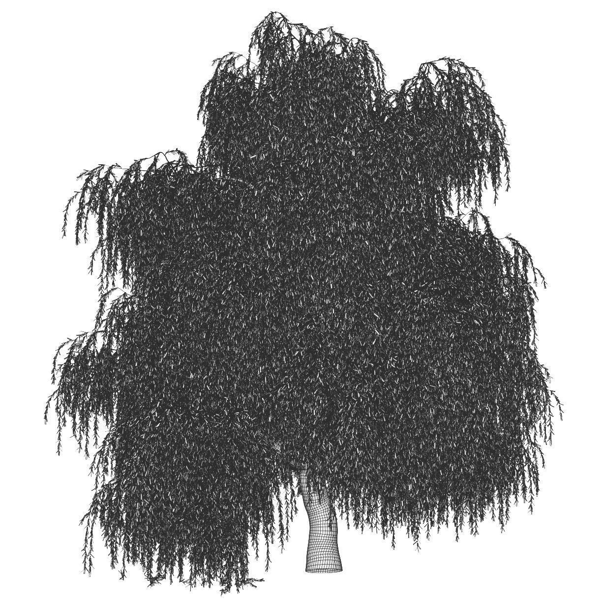 Willow 18m 3D model | CGTrader