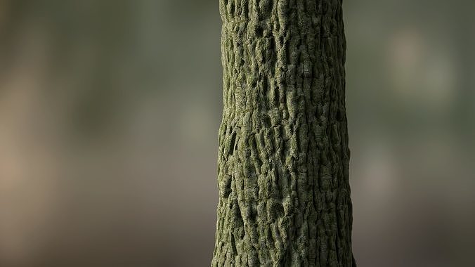 Texture Tree Bark Seamless 09 VR / AR / low-poly | CGTrader