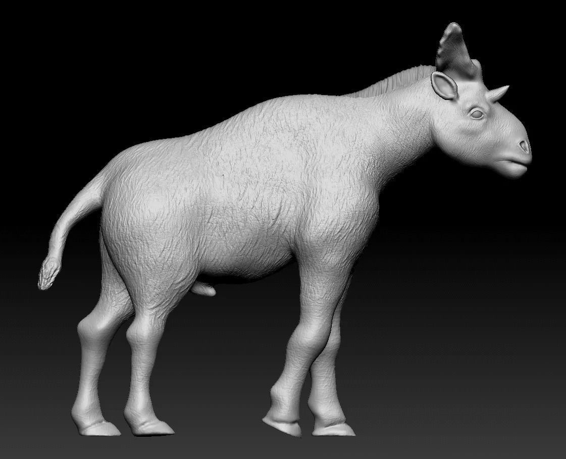 Sivatherium giganteum Shiva and Therium modern okapi Model STL3D 3D model 3D printable | CGTrader