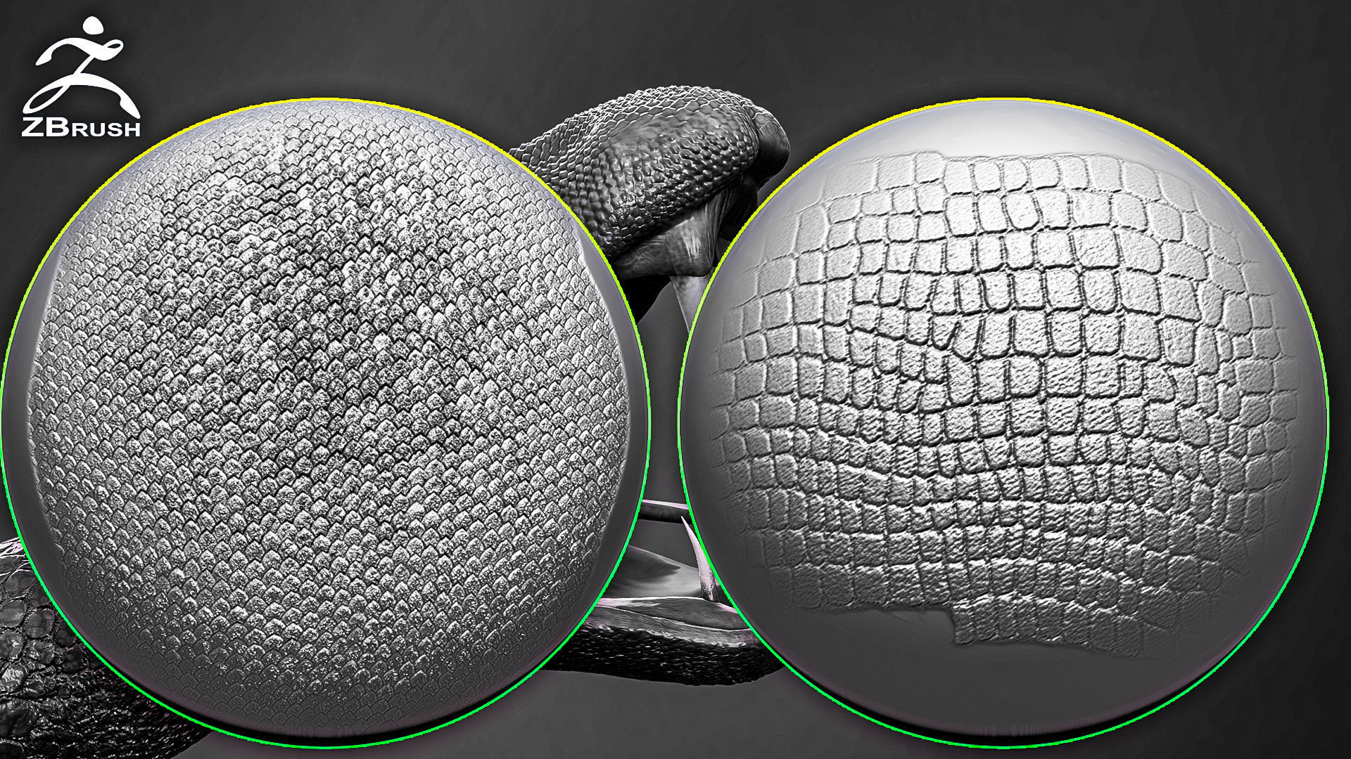 Reptile Skin Alphas for ZBrush 3D model | CGTrader